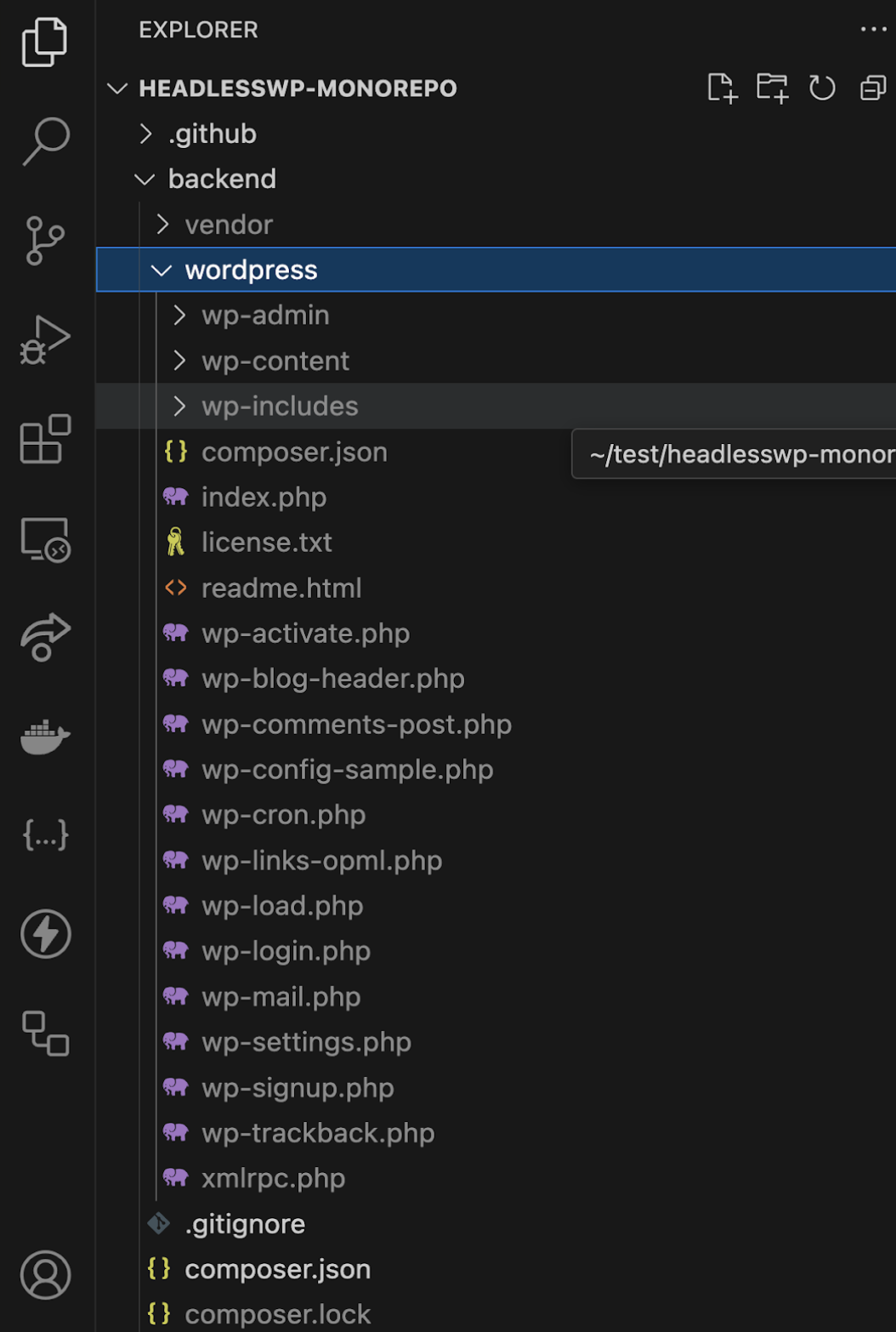 Headless WordPress Monorepo Setup - Builders